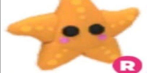 Buy Pet STARFISH R - ADOPT ME Adopt Me Roblox Trading Hub 2844452 | itemku