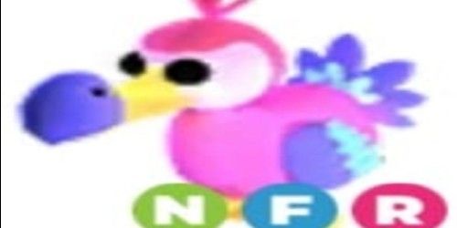 Beli Pet DODO NFR Adopt Me Trading Hub Terlengkap dan Termurah Februari ...