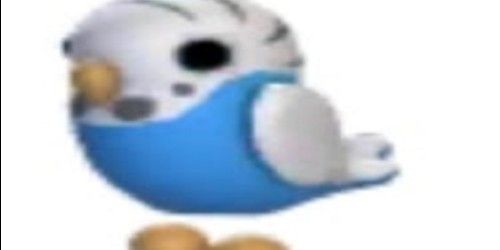 Buy Pet PARAKEET Adopt Me Roblox Trading Hub 2808703 | itemku