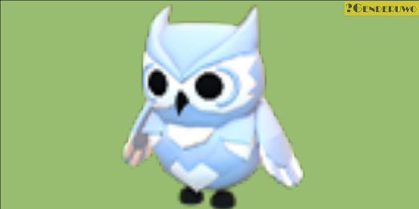 Buy Pet Snow Owl Adopt Me Trading Hub 2809580 | itemku