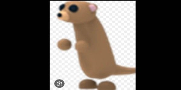 Beli Pet Meerkat adopt me Adopt Me Roblox Trading Hub Terlengkap dan ...