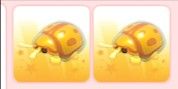 Buy Pet Golden Tortoise Beetle Pet Adopt Me Adopt Me Trading Hub ...