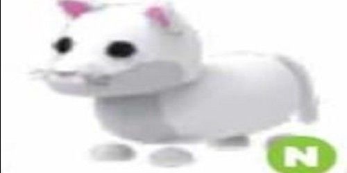 Buy Pet SNOW PUMA N - ADOPT ME Adopt Me Trading Hub 2850073 | itemku