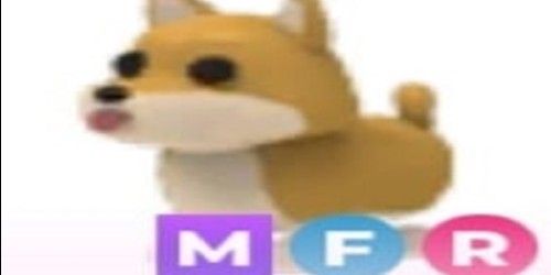 Beli Pet SHIBA INU MFR - ADOPT ME Adopt Me Roblox Trading Hub ...