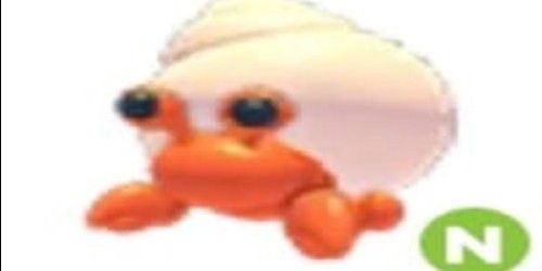 Buy Pet HERMIT CRAB N - ADOPT ME Adopt Me Trading Hub 2850123 | itemku