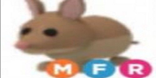 Buy Pet BANDICOOT MFR - ADOPT ME Adopt Me Roblox Trading Hub 2850304 ...