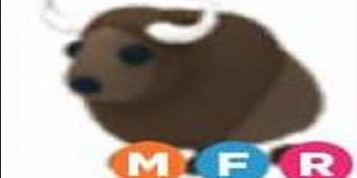 Beli Pet BUFFALO MFR - ADOPT ME Adopt Me Roblox Trading Hub Terlengkap ...