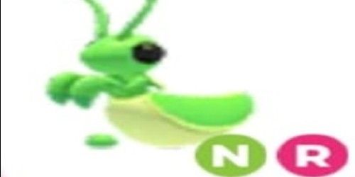 Beli Pet PRAYING MANTIS NR - ADOPT ME Adopt Me Roblox Trading Hub ...