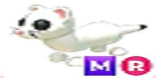 Beli Pet ERMINE MR - ADOPT ME Adopt Me Roblox Trading Hub Terlengkap ...