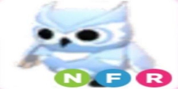 Buy Pet SNOW OWL NFR - ADOPT ME Adopt Me Roblox Trading Hub 2849896 ...