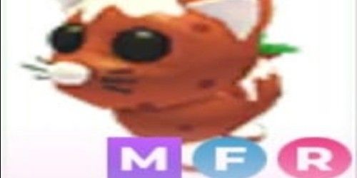 Buy Pet MFR CAT PUDDING - ADOPT ME Adopt Me Roblox Trading Hub 2850064 ...