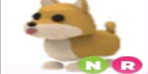 Buy Pet SHIBA INU NR - ADOPT ME Adopt Me Trading Hub 2849973 | itemku