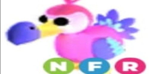 Buy Pet DODO NFR - ADOPT ME Adopt Me Roblox Trading Hub 2849883 | itemku