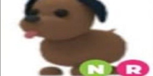 Buy Pet CHOCOLATE LABRADOR NR - ADOPT ME Adopt Me Trading Hub 2850098 ...