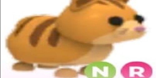 Beli Pet GINGER CAT NR - ADOPT ME Adopt Me Roblox Trading Hub ...