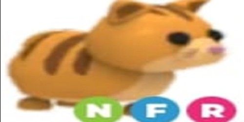 Buy Pet GINGER CAT NFR - ADOPT ME Adopt Me Trading Hub 2849908 | itemku