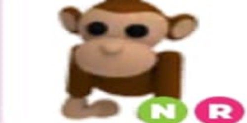 Beli Pet MONKEY NR - ADOPT ME Adopt Me Roblox Trading Hub Terlengkap ...