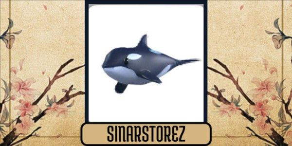 Beli Pet Orca Adopt Me Roblox Trading Hub Terlengkap dan Termurah Juni ...