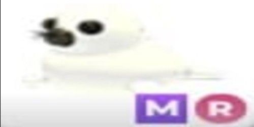 Buy Pet HARP SEAL MR - ADOPT ME Adopt Me Roblox Trading Hub 2868594 ...