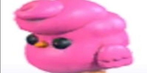 Buy Pet CANDYFLOSS CHICK - ADOPT ME Adopt Me Roblox Trading Hub 2869221 ...