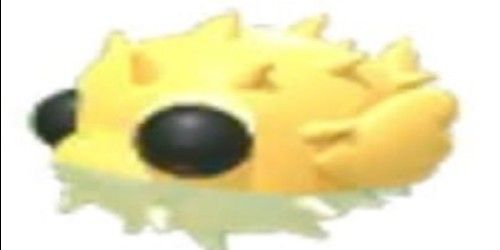 Beli Pet PUFFER FISH - ADOPT ME Adopt Me Roblox Trading Hub Terlengkap ...