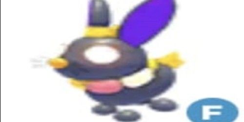 Buy Pet RICE CAKE RABBIT F - ADOPT ME Adopt Me Roblox Trading Hub ...