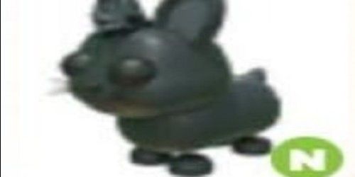 Buy Pet AMAMI RABBIT N - ADOPT ME Adopt Me Roblox Trading Hub 2872310 ...