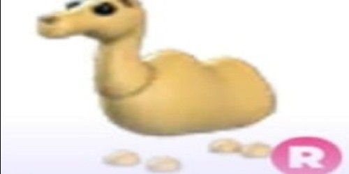 Buy Pet CAMEL R - ADOPT ME Adopt Me Trading Hub 2872444 | itemku