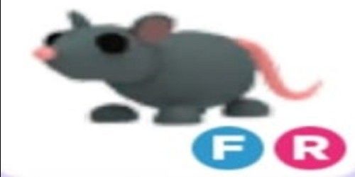 Beli Pet RAT FR - ADOPT ME Adopt Me Roblox Trading Hub Terlengkap dan ...