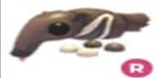 Beli Pet GIANT ANTEATER R - ADOPT ME Adopt Me Roblox Trading Hub ...