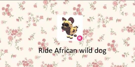 Buy Pet ride african wild dog Adopt Me Trading Hub cheapest May 2026 ...