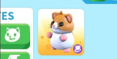 Buy Pet Hamster Normal - Nyenyekiw Adopt Me Roblox Trading Hub 2875338 ...