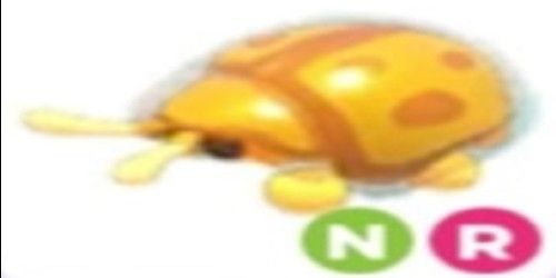 Beli Pet GOLDEN TORTOISE BEETLE NR - ADOPT ME Adopt Me Roblox Trading ...