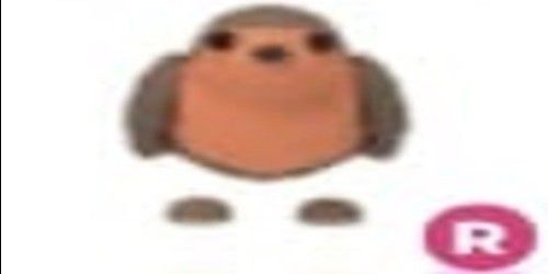 Beli Pet ROBIN R - ADOPT ME Adopt Me Trading Hub Terlengkap dan ...