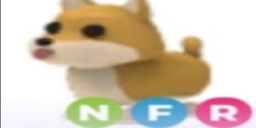 Buy Pet SHIBA INU NFR - ADOPT ME Adopt Me Roblox Trading Hub 2877442 ...