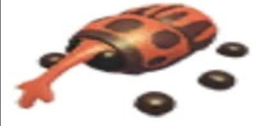 Buy Pet WEEVIL - ADOPT ME Adopt Me Roblox Trading Hub 2880135 | itemku