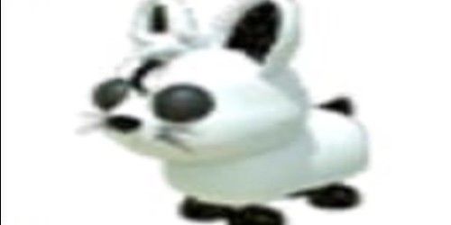Buy Pet MOON RABBIT - ADOPT ME Adopt Me Trading Hub 2879988 | itemku