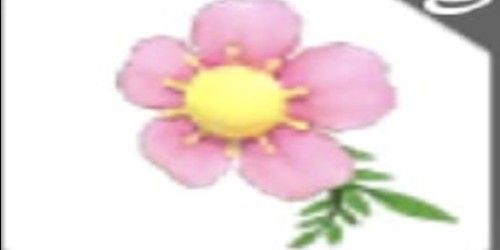 Buy Item FLOWER MONOCLE - ADOPT ME Adopt Me Roblox Trading Hub 2881049 ...