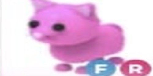 Beli Pet PINK CAT FR - ADOPT ME Adopt Me Roblox Trading Hub Terlengkap ...
