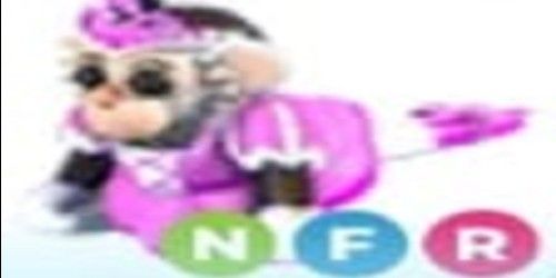 Beli Pet PRINCESS CAPUCHIN MONKEY NFR - ADOPT ME Adopt Me Roblox ...