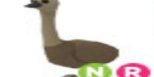 Beli Pet EMU NR - ADOPT ME Adopt Me Roblox Trading Hub Terlengkap dan ...