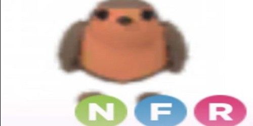 Buy Pet ROBIN NFR - ADOPT ME Adopt Me Roblox Trading Hub 2851969 | itemku