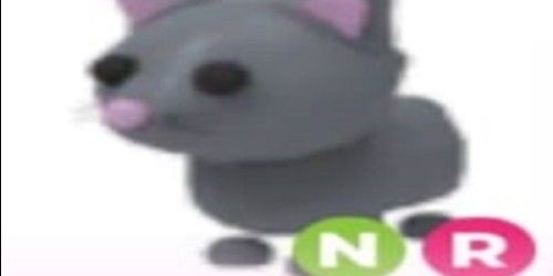 Buy Pet CAT NR - ADOPT ME Adopt Me Roblox Trading Hub 2851110 | itemku