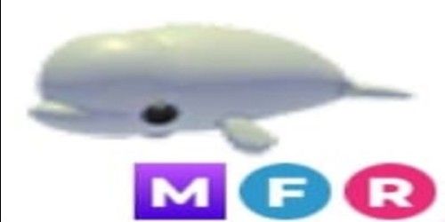 Buy Pet BELUGA WHALE MFR - ADOPT ME Adopt Me Roblox Trading Hub 2851953 ...
