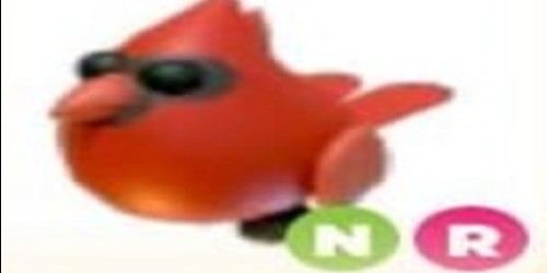 Buy Pet RED CARDINAL NR - ADOPT ME Adopt Me Trading Hub 2851927 | itemku