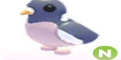 Buy Pet WOOD PIGEON N - ADOPT ME Adopt Me Roblox Trading Hub 2851599 ...