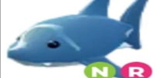 Buy Pet SHARK NR - ADOPT ME Adopt Me Trading Hub 2851469 | itemku