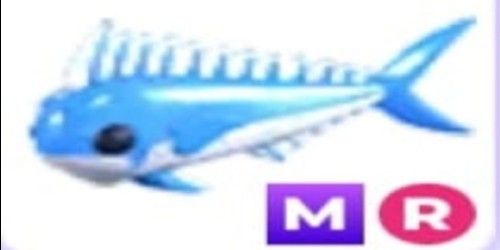Buy Pet DIAMOND MAHI MAHI MR - ADOPT ME Adopt Me Trading Hub 2851409 ...