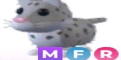 Buy Pet SNOW LEOPARD MFR - ADOPT ME Adopt Me Trading Hub 2851932 | itemku