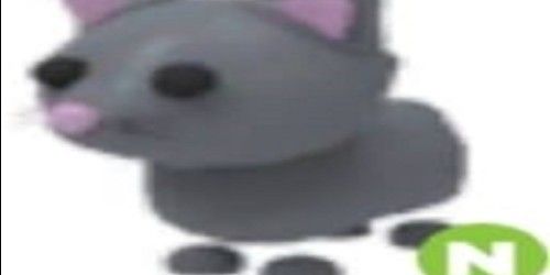 Beli Pet CAT N - ADOPT ME Adopt Me Roblox Trading Hub Terlengkap dan ...